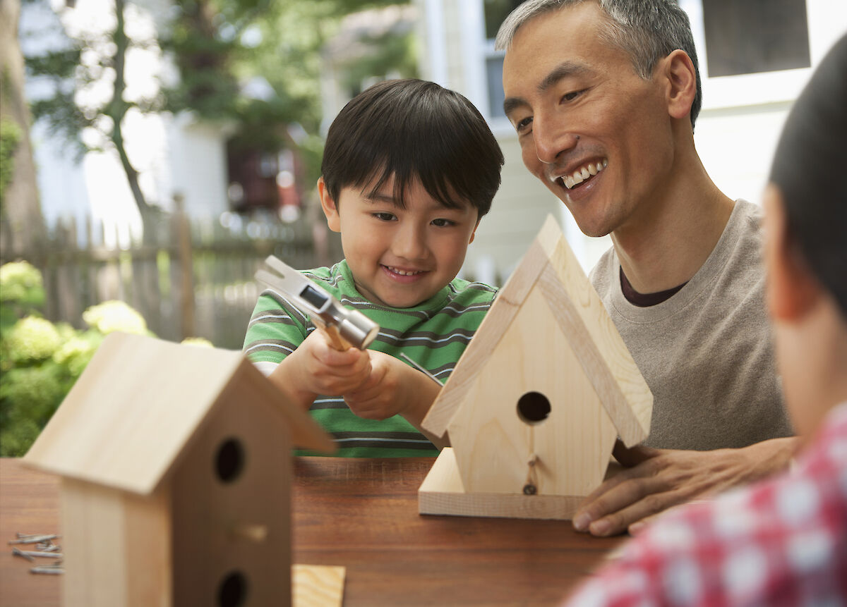 Bluebird Box Decorating: A Fun Family Activity