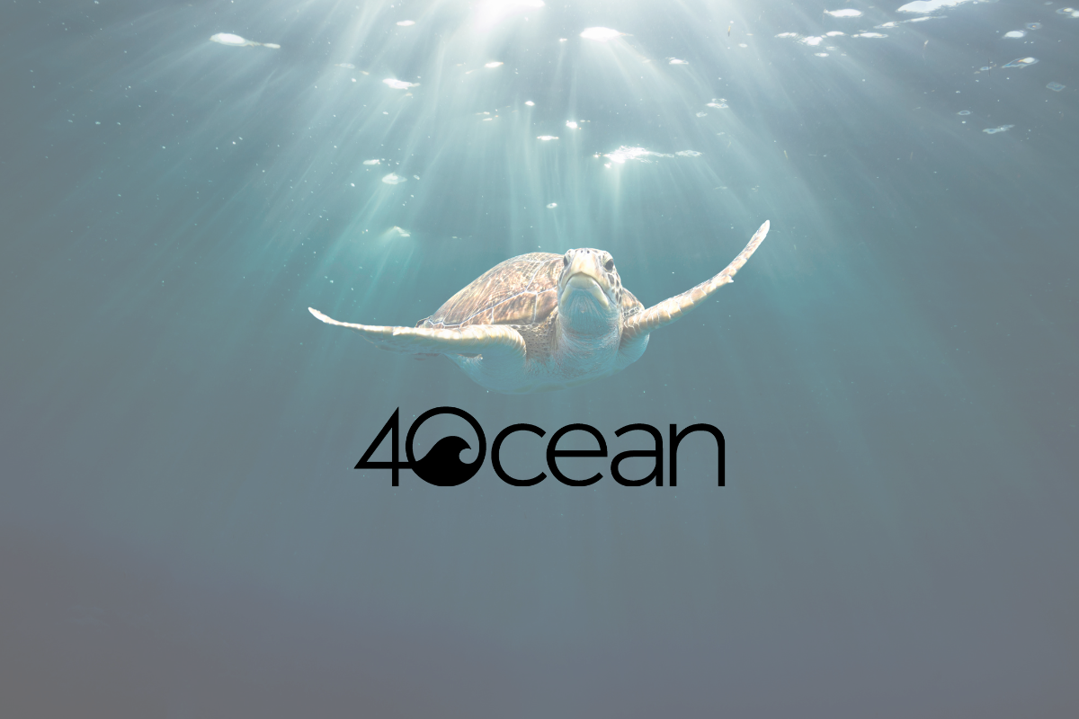 World Sea Turtle Day Cleanup | Cambridge Beaches